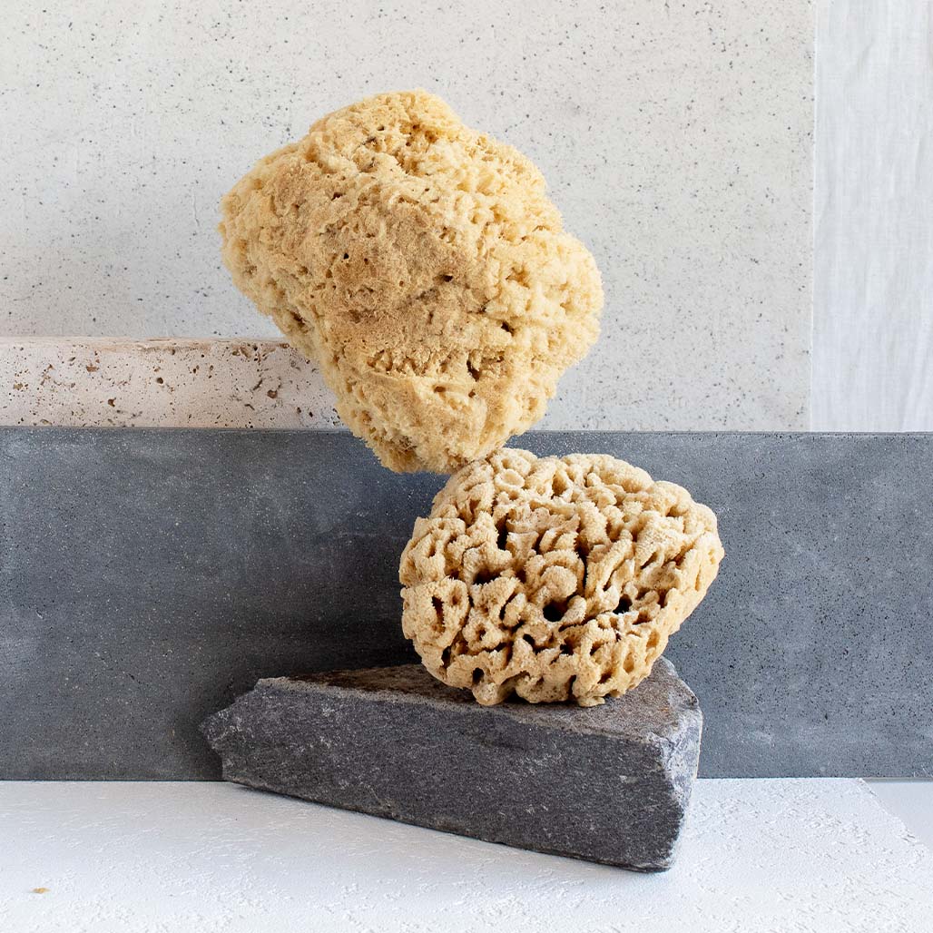 Mammoth sponge large - Lustre FX